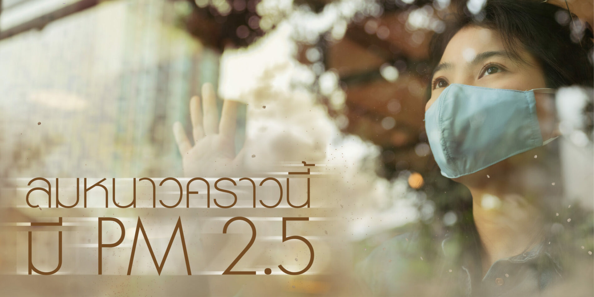 PM 2.5 คืออะไร? – ประชาชื่น MRI